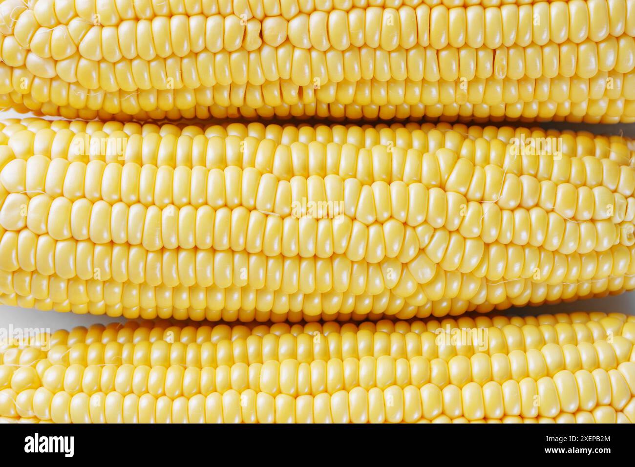 Yellow fresh raw ears of sweet corn close up, macro background. Corncob ...