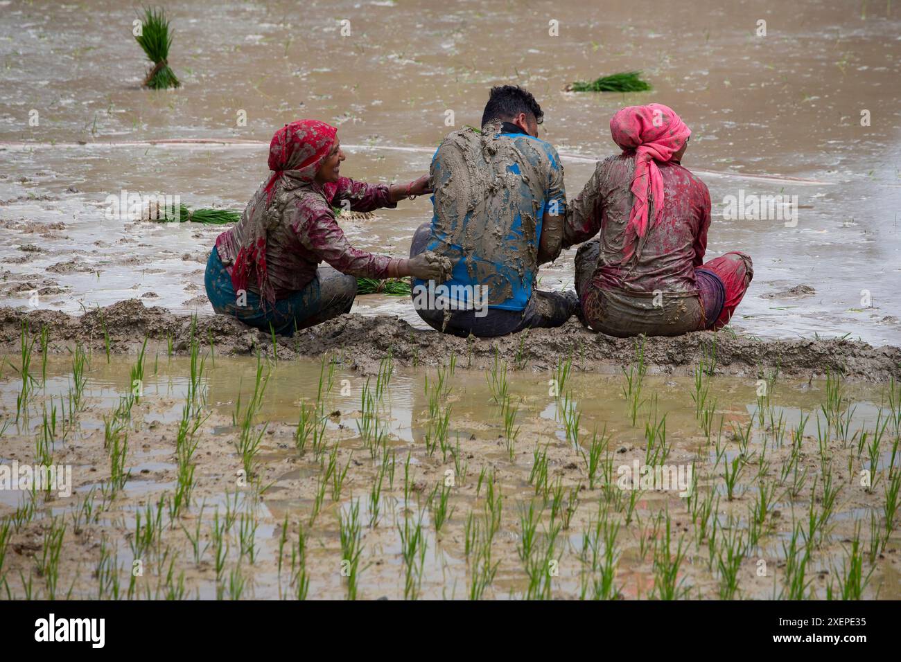 Bhaktapur, Nepal. 29th June, 2024. On June 29, 2024, in Bhaktapur ...