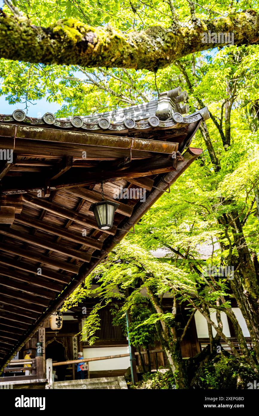 Japanese roof tile hi-res stock photography and images - Alamy