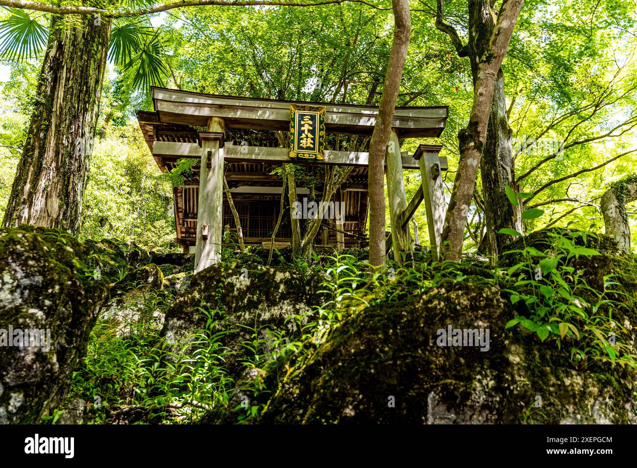 A small shrine with stone torii in Ishiyamadera temple complex, in Otsu ...
