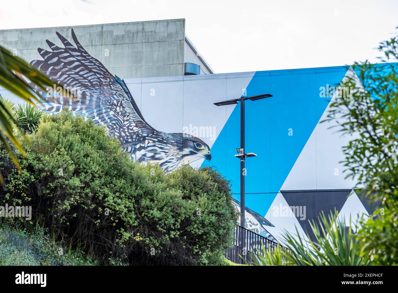 Bird mural hi-res stock photography and images - Alamy