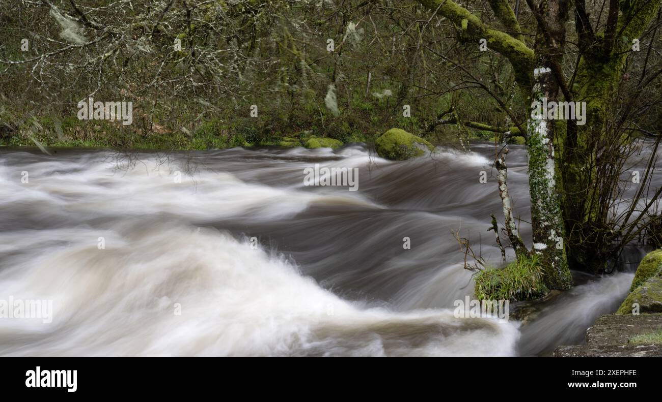 East Dart River, Dartmeet, Yelverton, Devon, England, UK Stock Photo ...