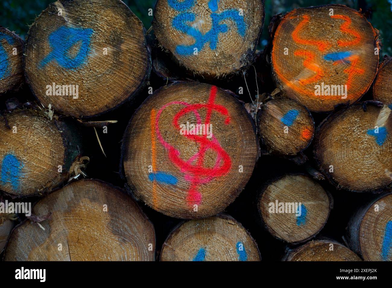 Natur wood hi-res stock photography and images - Alamy