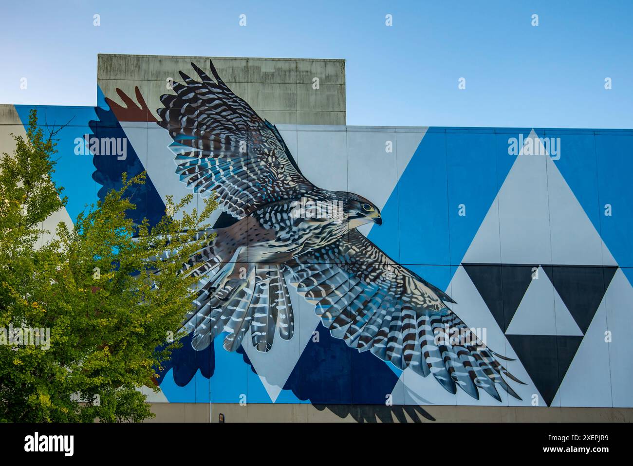 Bird mural hi-res stock photography and images - Alamy