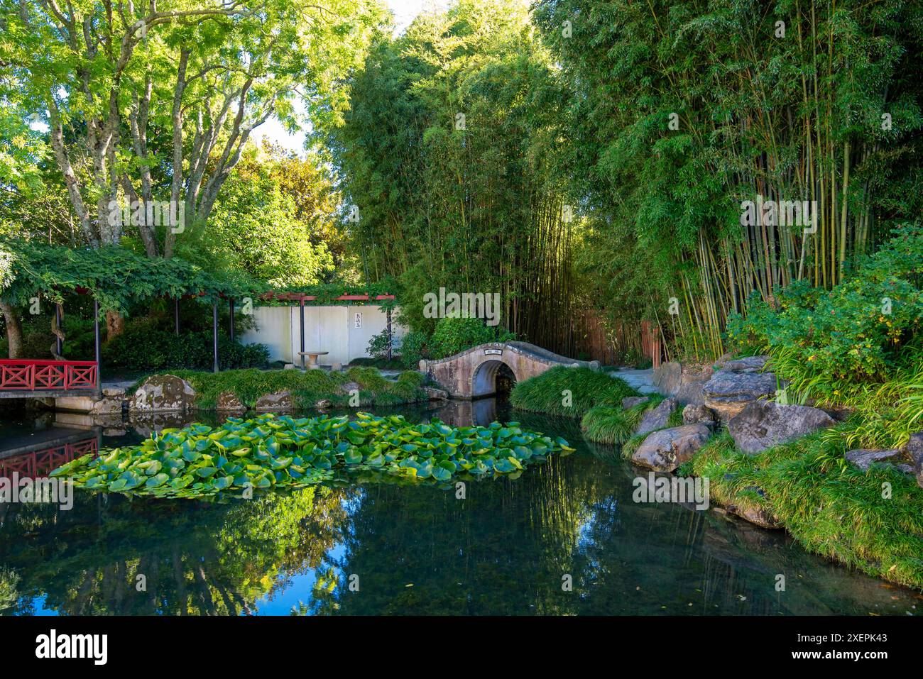 Japanese Garden of Contemplation, one of 18 different enclosed gardens within the Hamilton ...