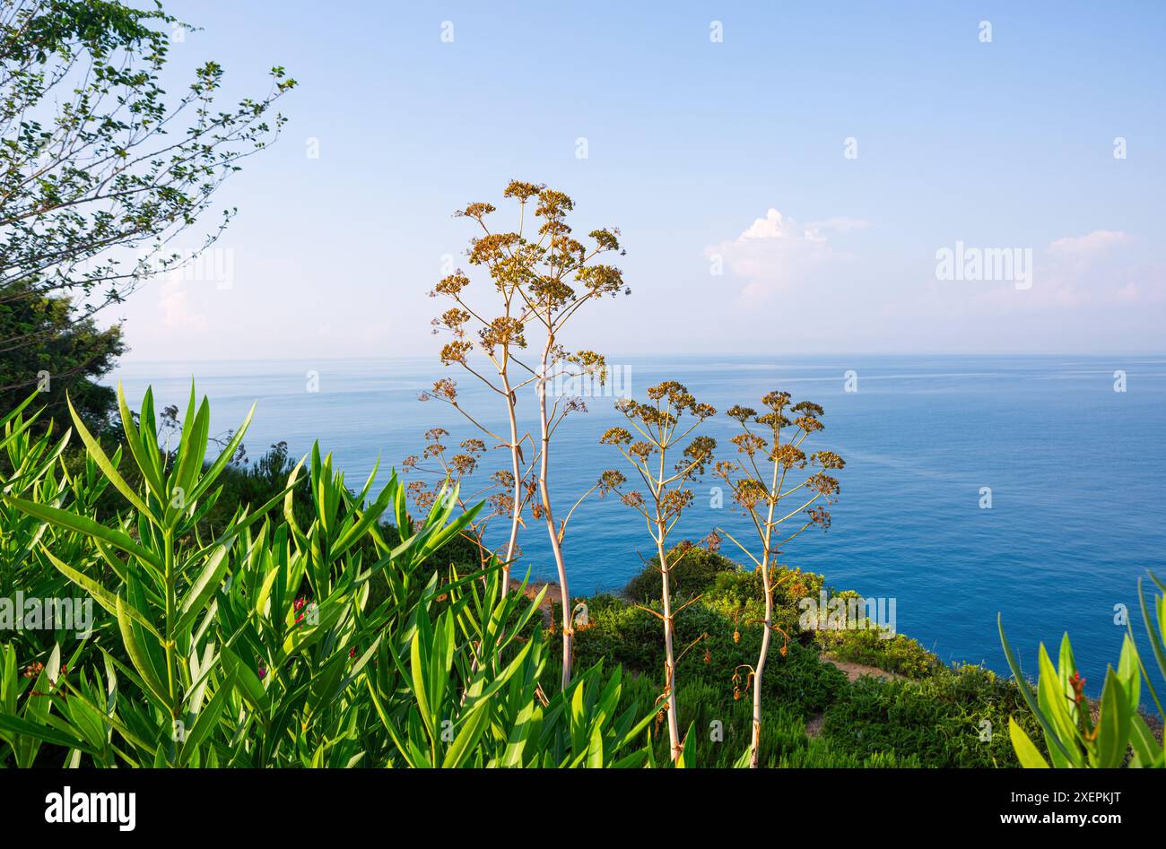 Hues of green and blue beautify the Mediterranean Sea coastline in ...