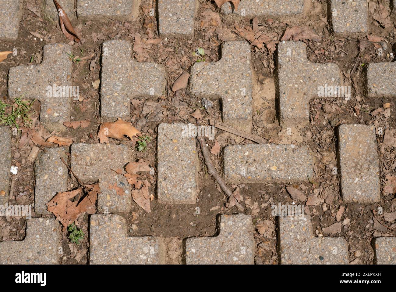 Self-locking concrete paving slabs, self-draining and allowing the ...
