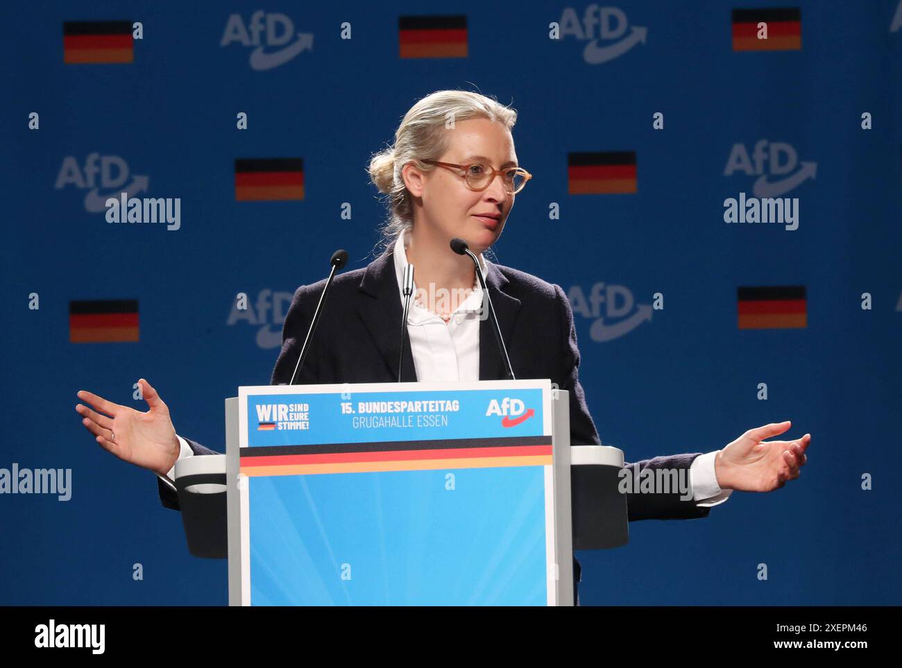 15. Bundesparteitag der AFD Alice Weidel 15. Bundesparteitag der AFD ...