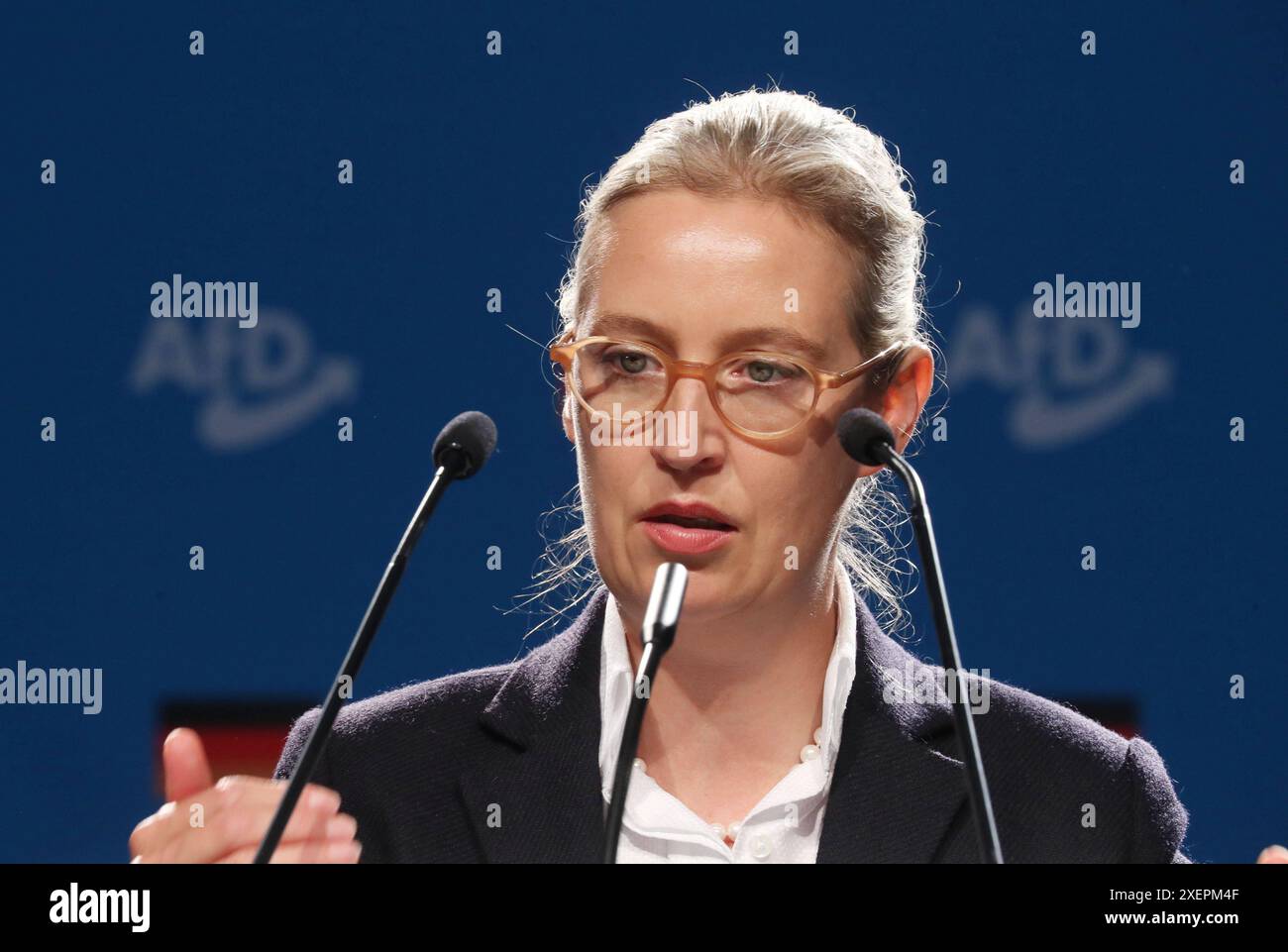 15. Bundesparteitag der AFD Alice Weidel 15. Bundesparteitag der AFD ...