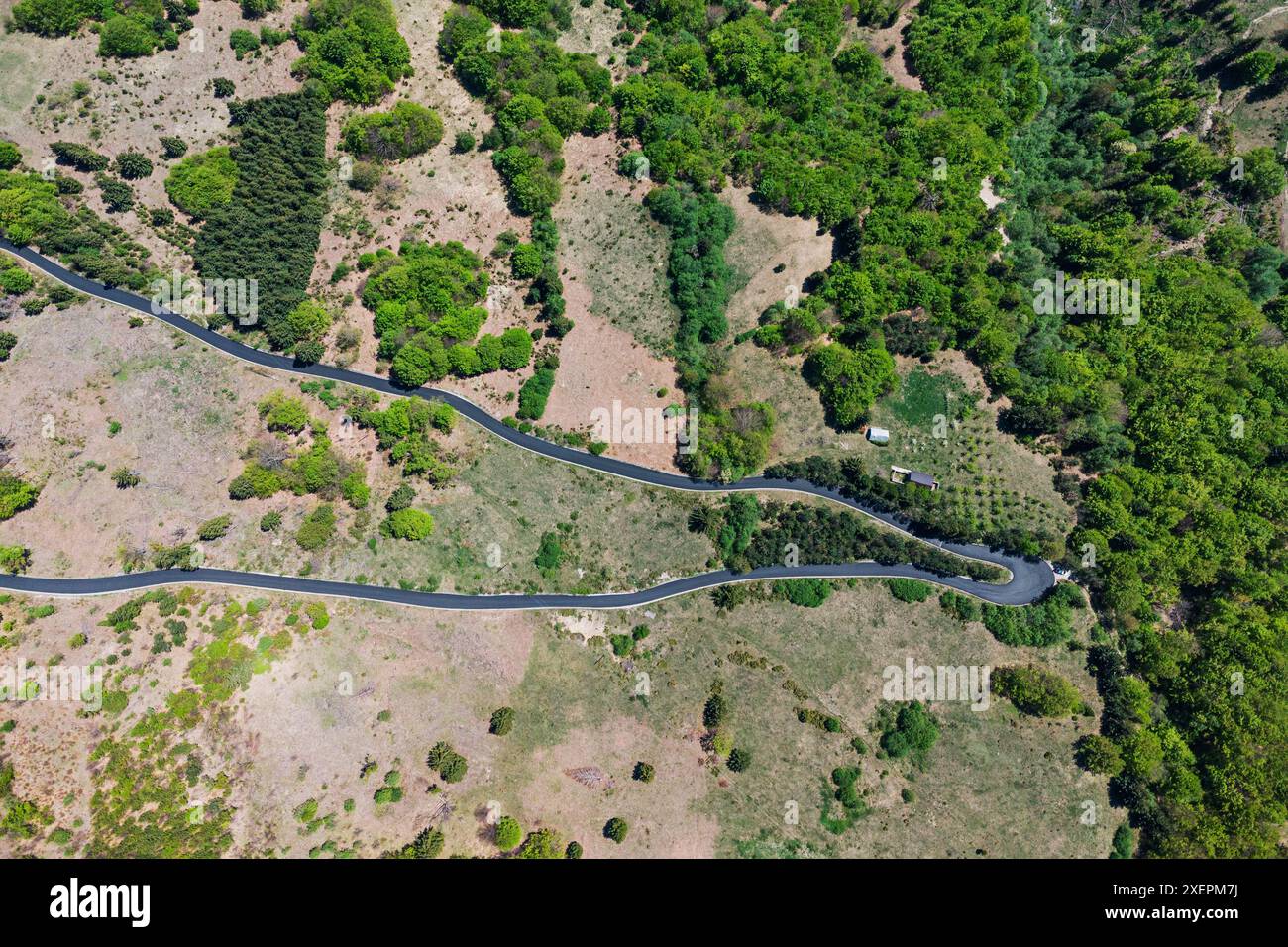 Aerial view of a serpentine road meandering through a wild forest Stock ...