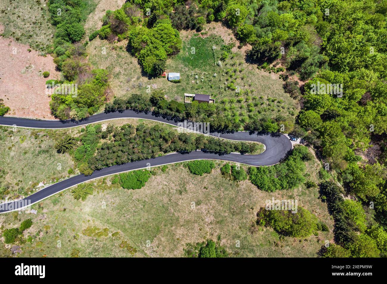 Aerial view of a serpentine road meandering through a wild forest Stock ...