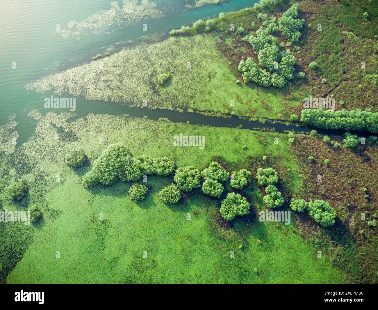 Stunning top down view hi-res stock photography and images - Alamy