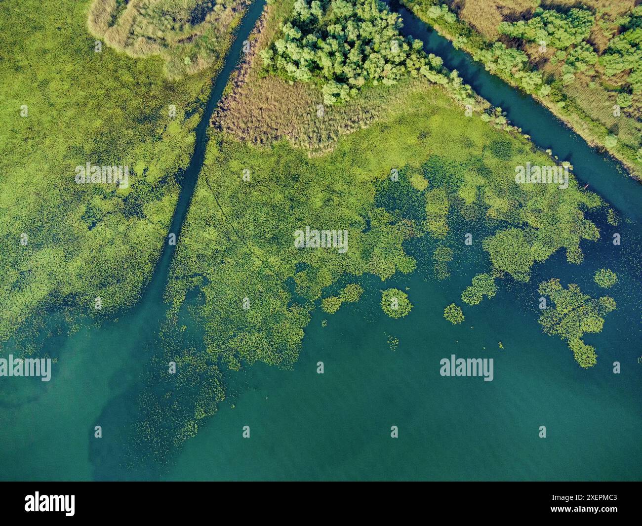 Aerial view of the lush ecosystem around Lake Skadar in Montenegro ...