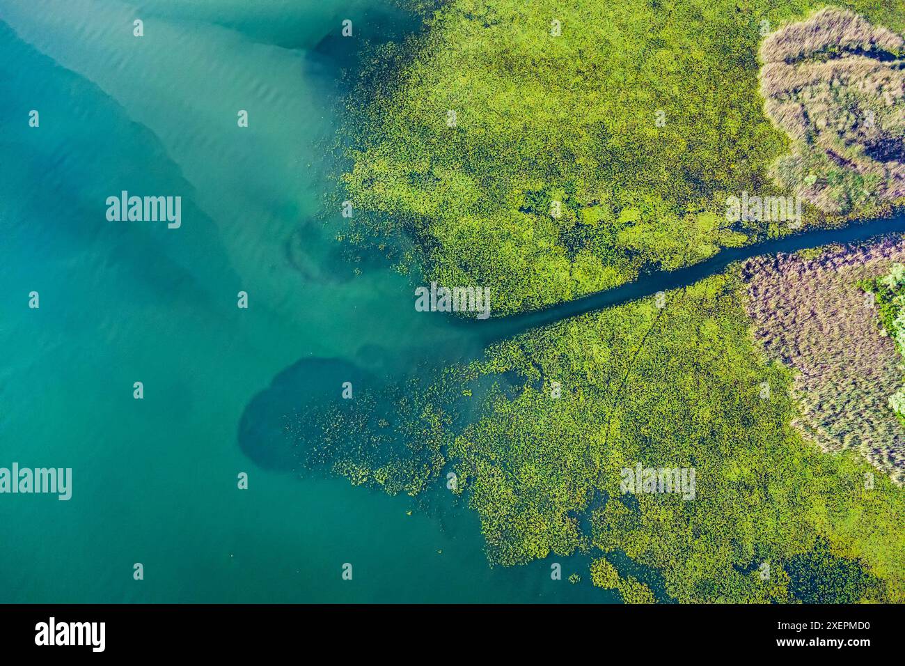 Stunning top down view hi-res stock photography and images - Alamy