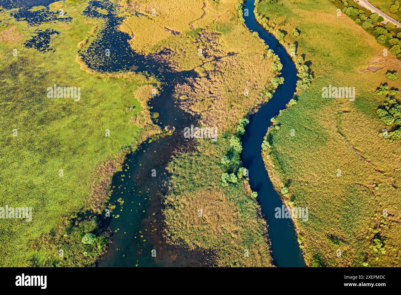 Aerial view of the lush ecosystem around Lake Skadar in Montenegro ...
