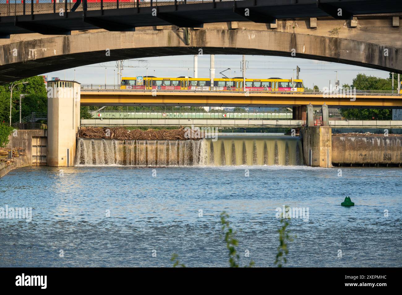 The Stuttgart Neckar river Lock-water navigation full of tree branches ...