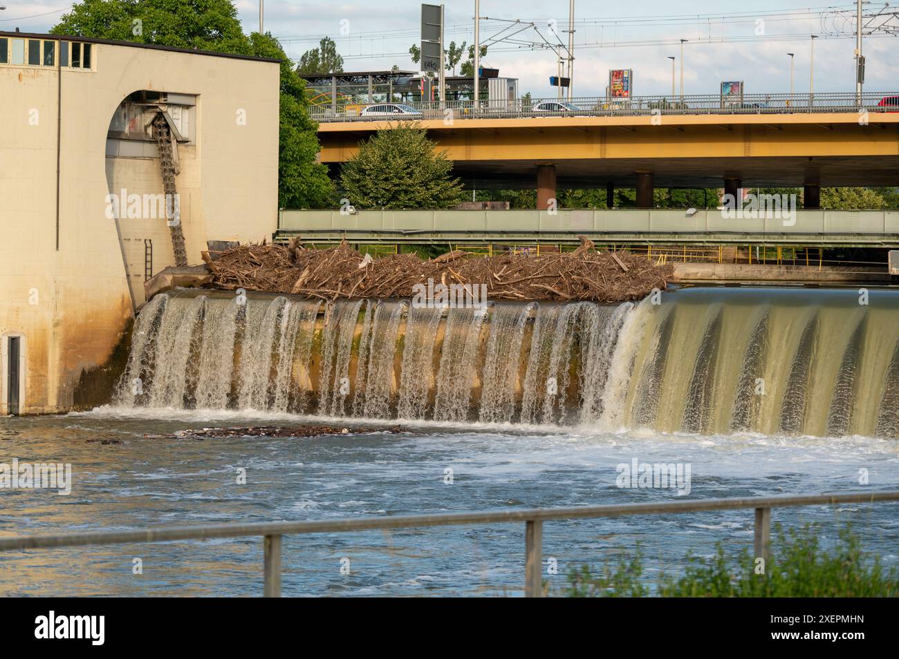 The Stuttgart Neckar river Lock-water navigation full of tree branches ...