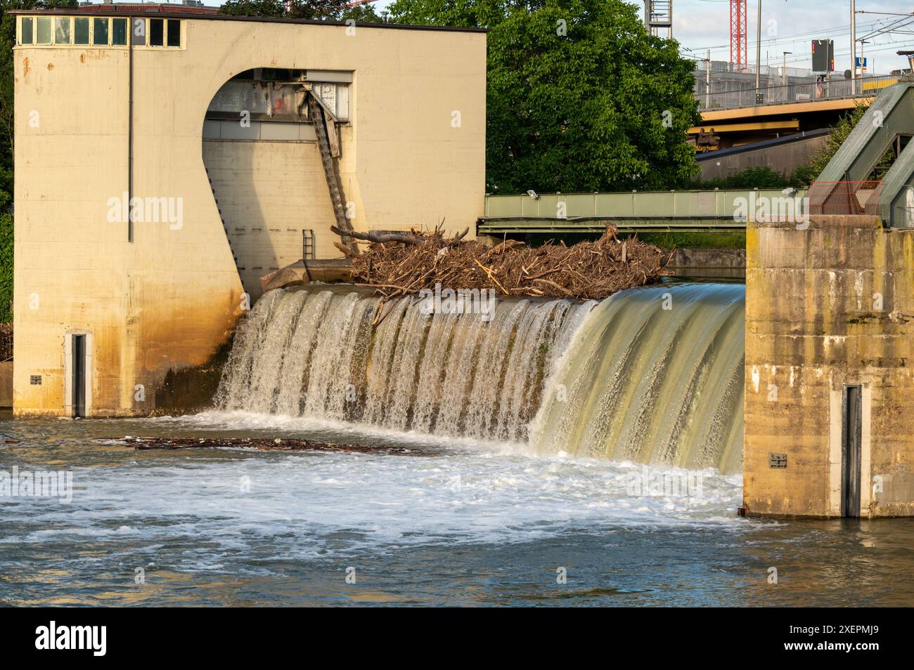 The Stuttgart Neckar river Lock-water navigation full of tree branches ...