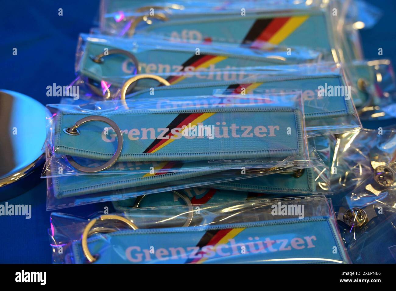29.06.2024 xkhx Essen,Grugahalle Bundesparteitag der AfD Logos und ...