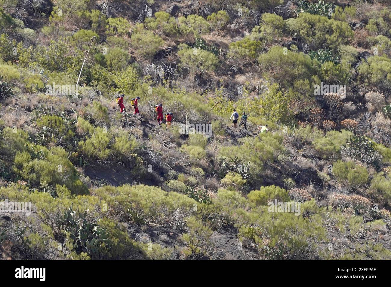 Dozens of troops during the macro search for 19-year-old British ...