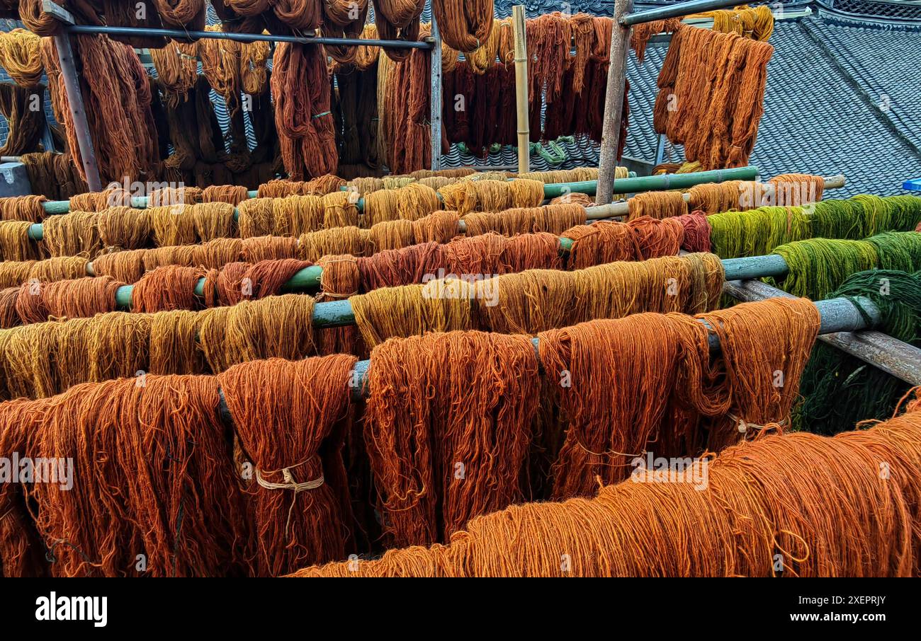 (240629) -- BEIJING, June 29, 2024 (Xinhua) -- This undated photo shows ...