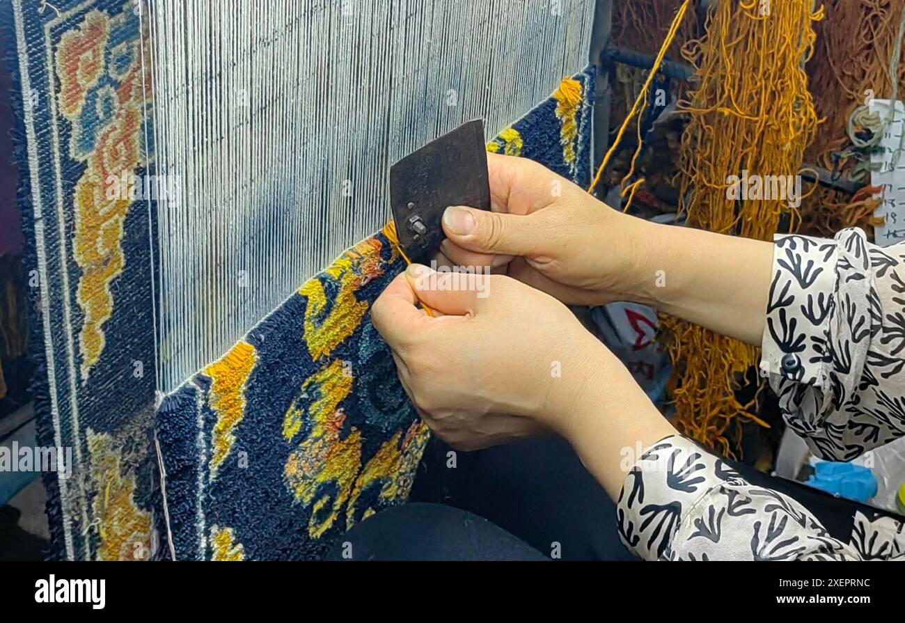 (240629) -- BEIJING, June 29, 2024 (Xinhua) -- This undated photo shows ...