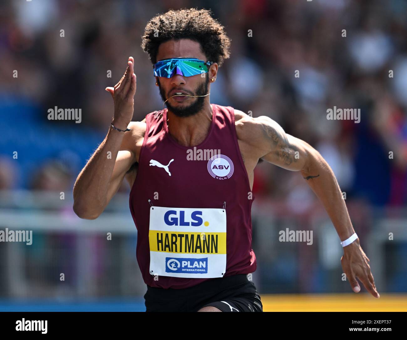 Sven hartmann hi-res stock photography and images - Alamy