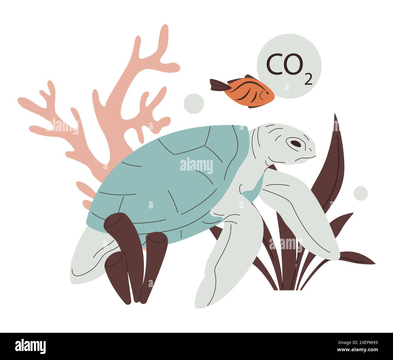 Ocean acidification. Environmental crisis, water acidification with ...