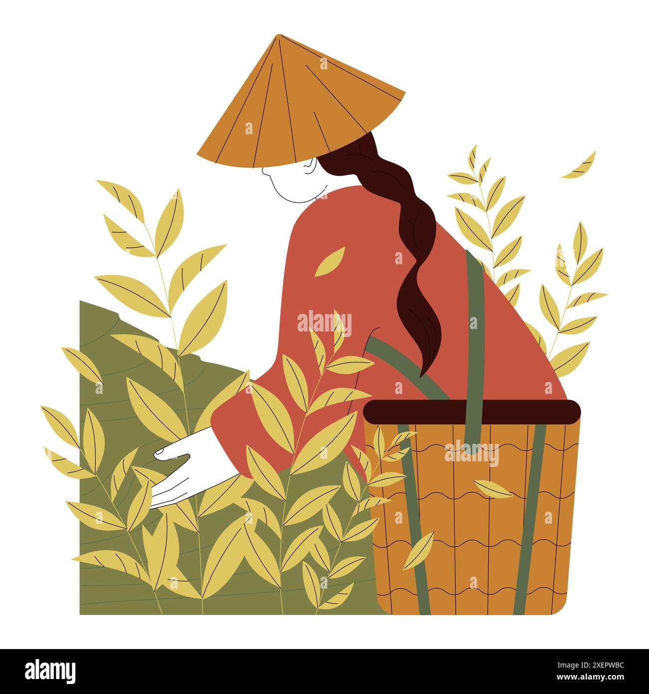 Tea harvesting season. Young woman wearing traditional asian sedge hat ...