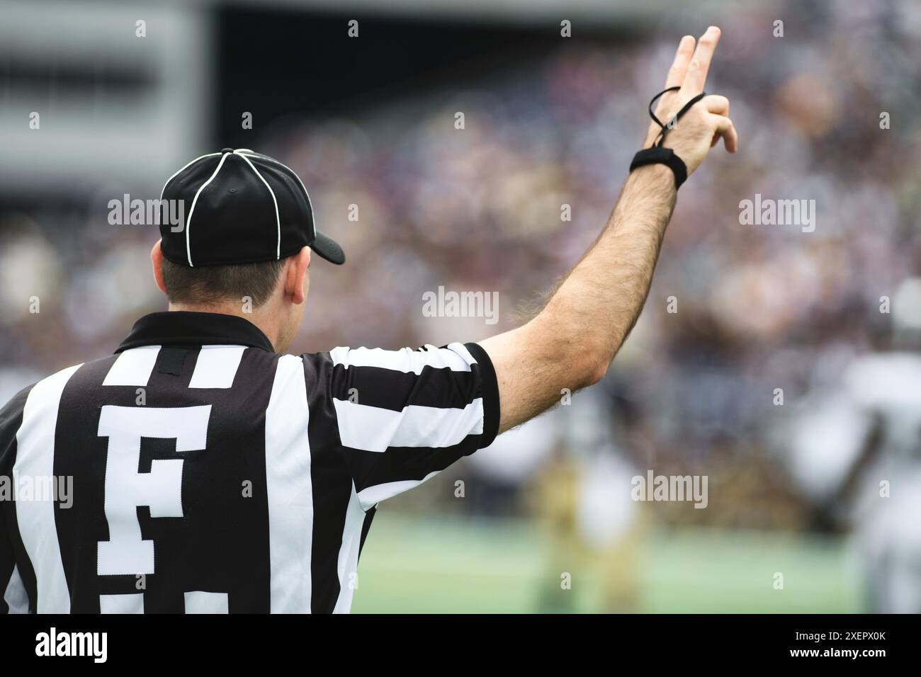 Rear view of a field judge ("F" on the back of shirt) on the pitch of ...