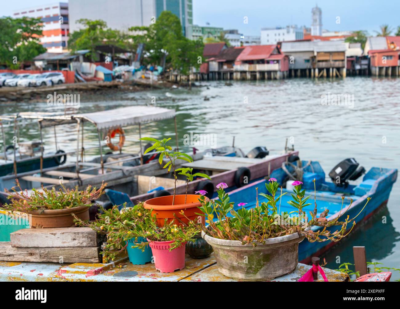 Along the old jetty boardwalks,decorative plants stand by the waterside ...