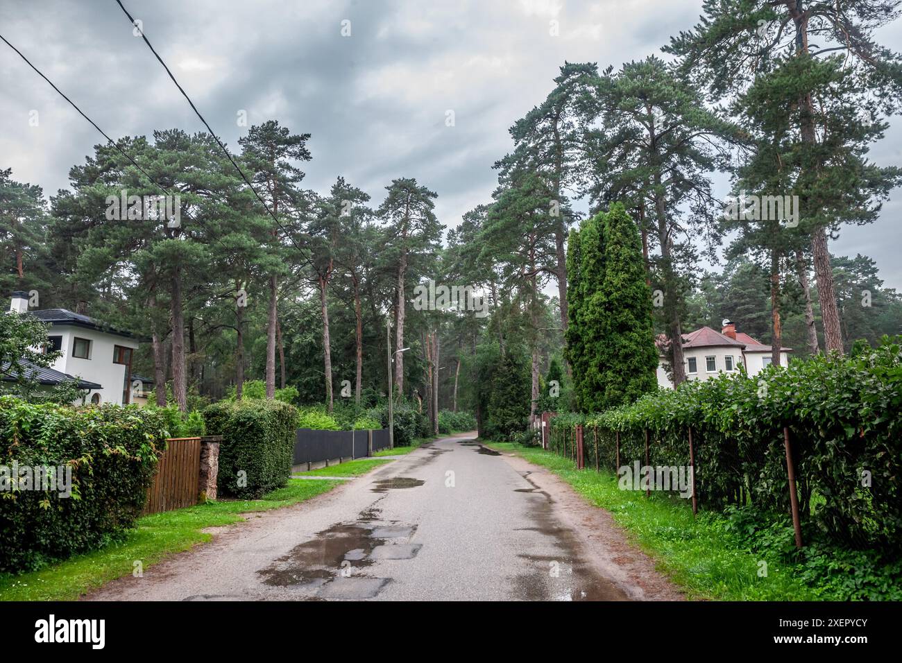 This image shows a quiet street in Garciems resort, Latvia, under the ...