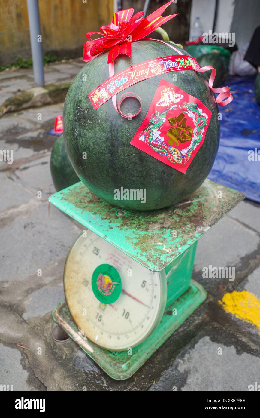 Hoi An, Vietnam - 8 Feb, 2024: Watermelon on a weighing scale at Hoi An ...