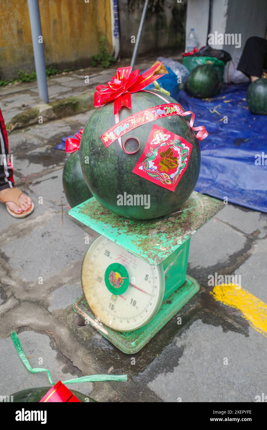 Hoi An, Vietnam - 8 Feb, 2024: Watermelon on a weighing scale at Hoi An ...