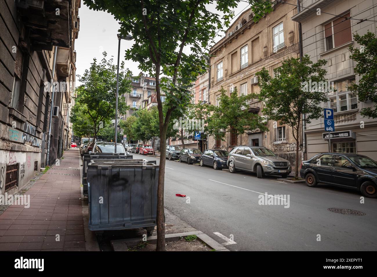 The photo depicts garbage containers lined up on Dobrachina Street in ...