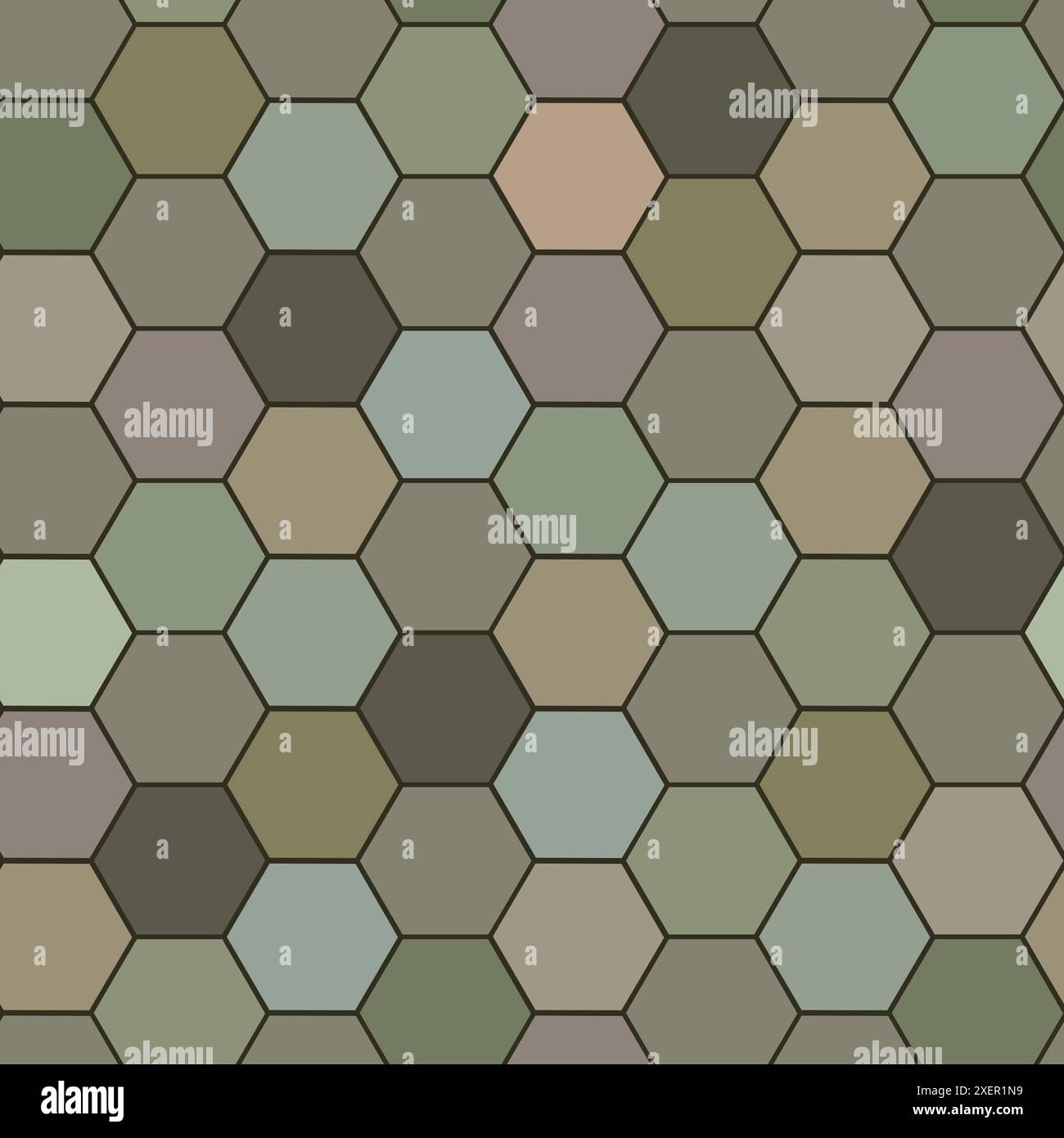 Hexagonal shapes in nature Stock Vector Images - Alamy
