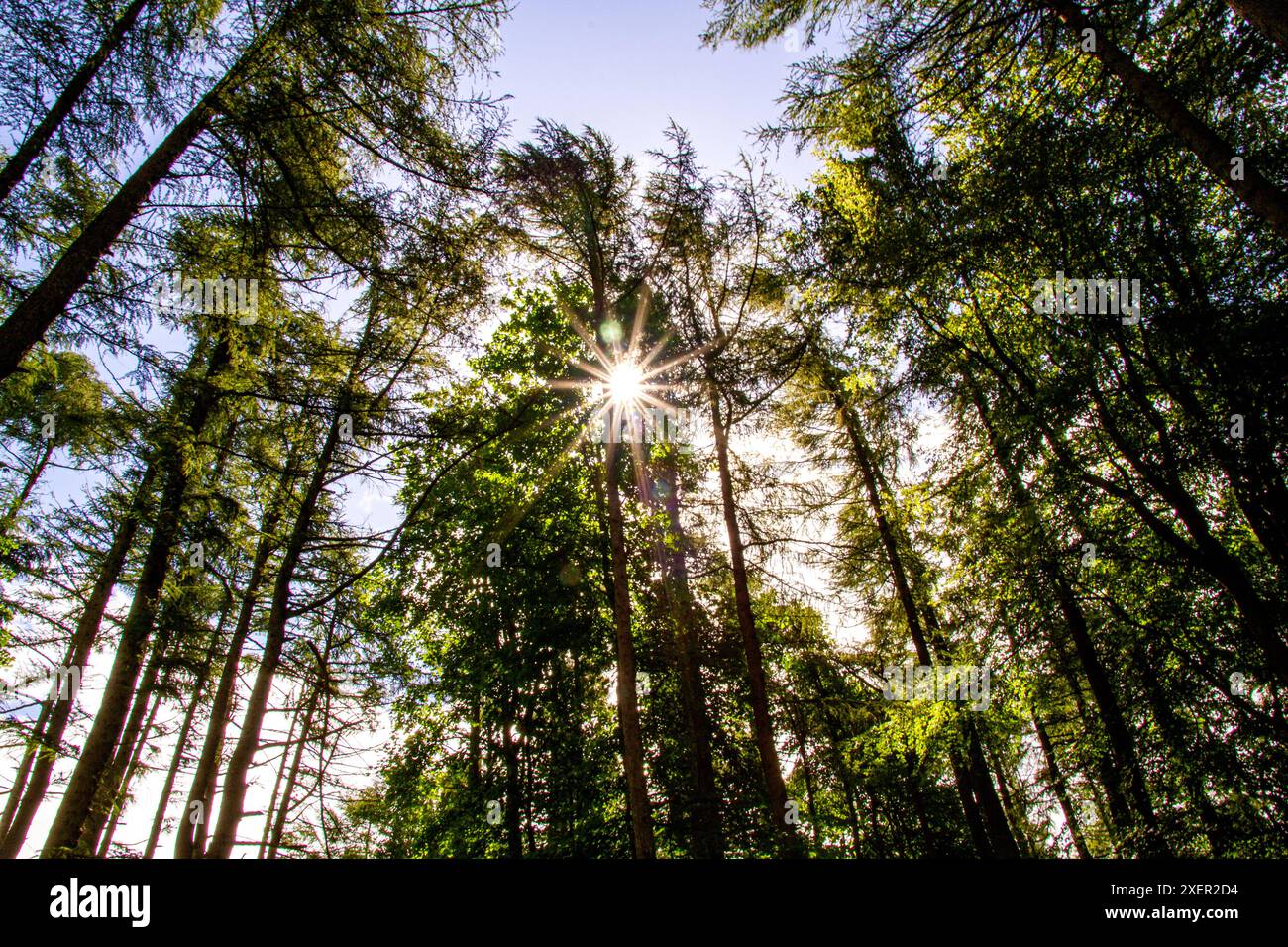 Dundee, Tayside, Scotland, UK. 29th June, 2024. UK Weather: Summer ...