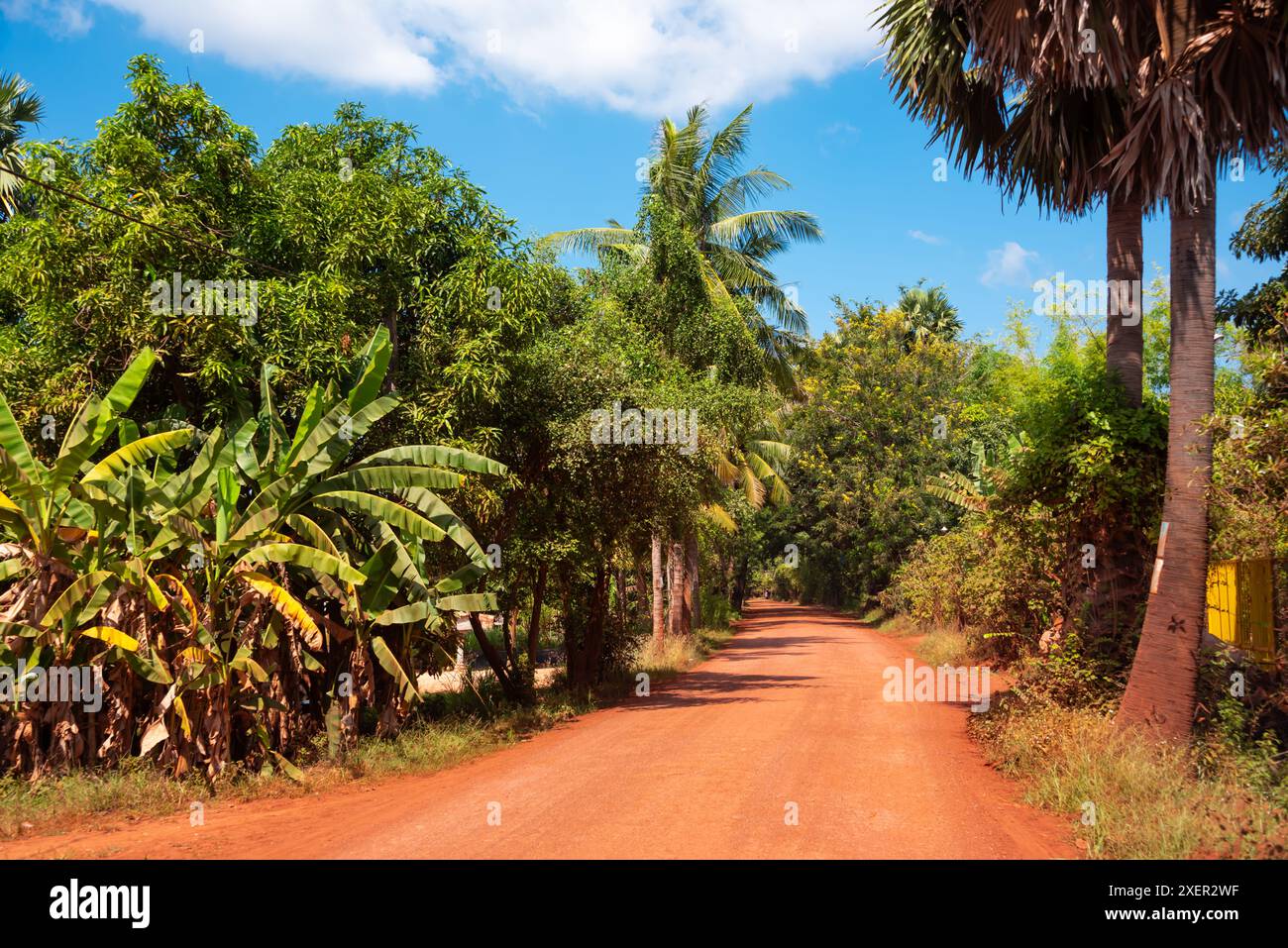 Rural unpaved road of red sand in Cambodia Stock Photo - Alamy