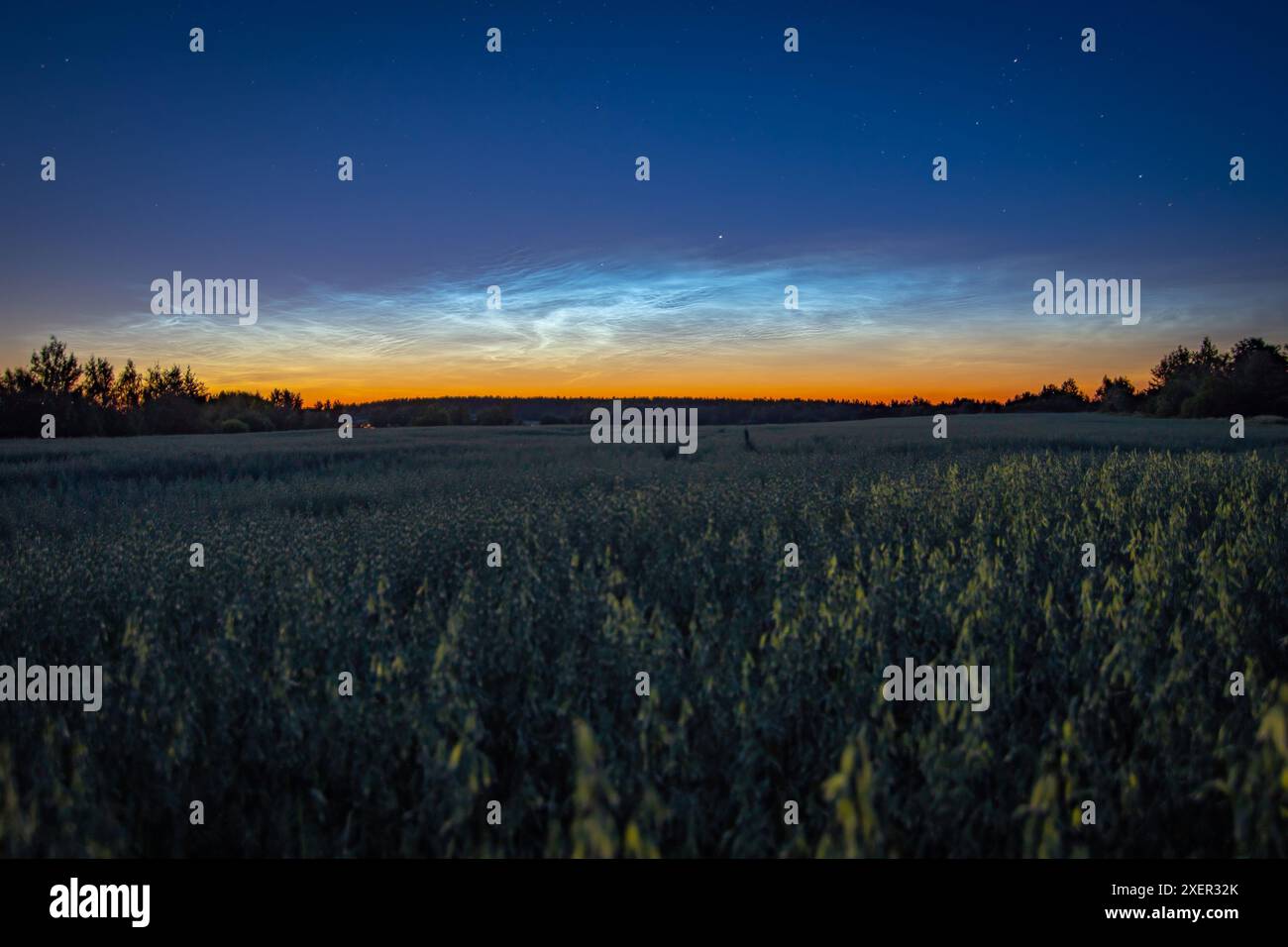 farming, harvesting, wheat field at night on Noctilucent clouds ...
