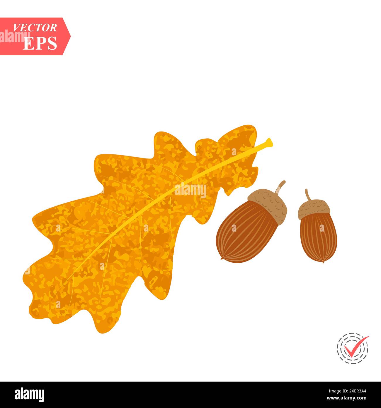 Oak branch with leaves and acorns. Vector illustration. eps Stock ...