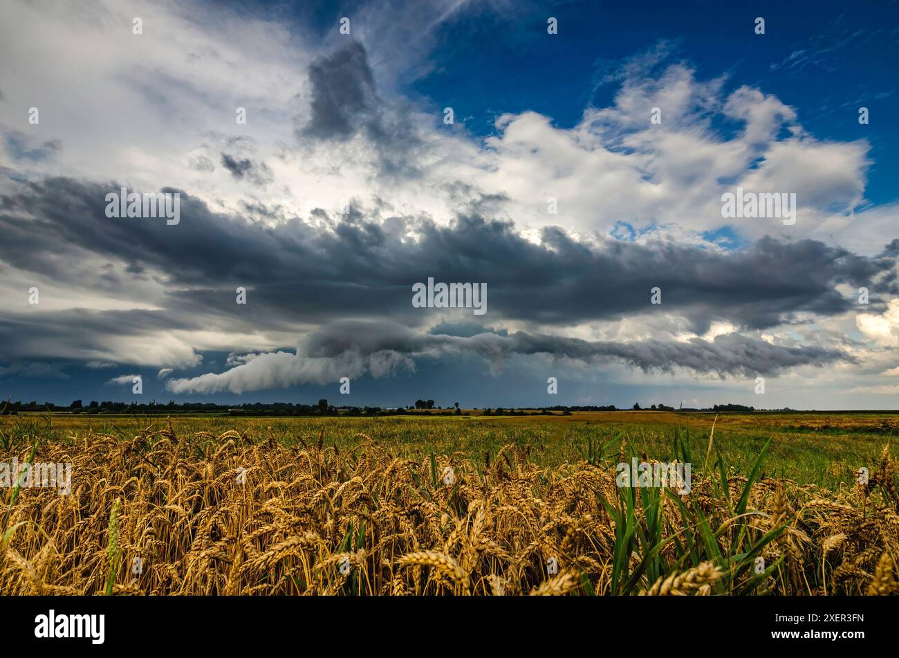 Shelf cloud approaching hi-res stock photography and images - Alamy
