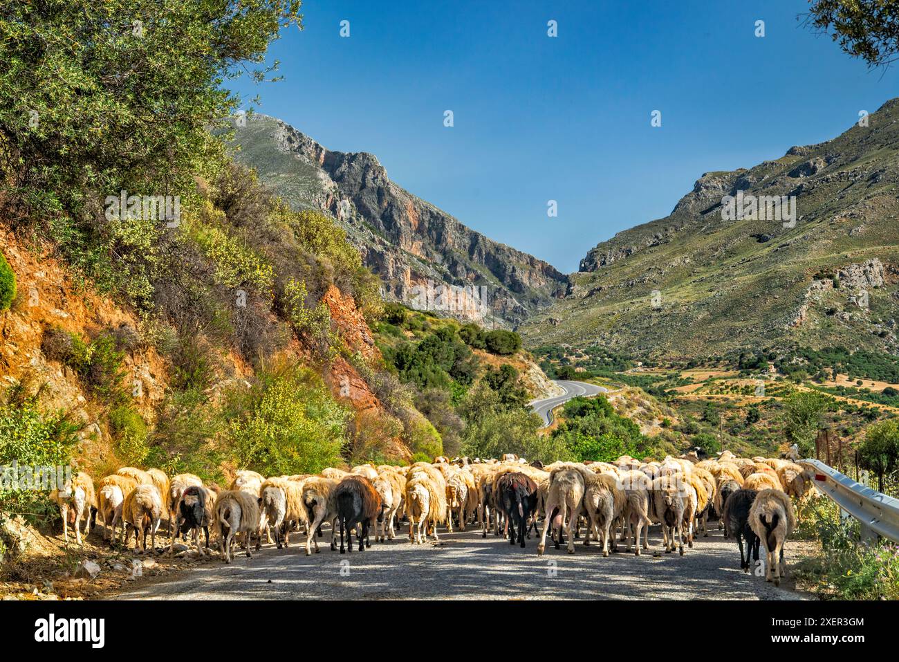 Preveli gorge hi-res stock photography and images - Alamy