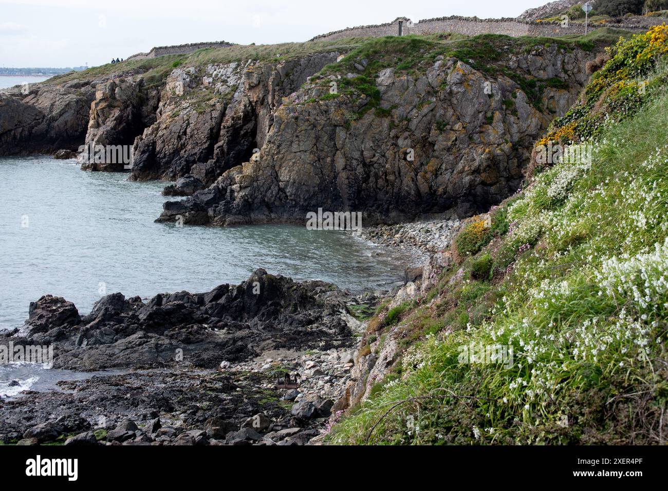 Cliff walk at the Howth peninsula, Suton shore, Dublin, Republica of ...