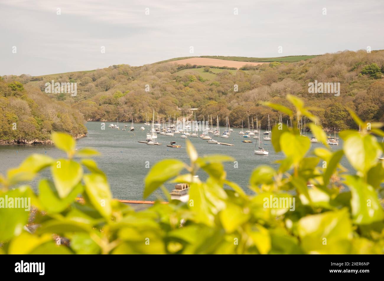 View of Marina and Fowey Estuary from Fowey, Cornwall, UK. Fowey (FOY ...