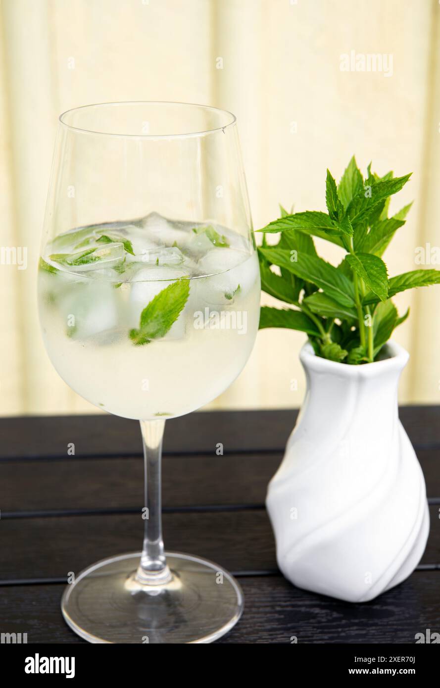 Green fresh peppermint Mentha piperita leaf inside ice cube in glass in ...