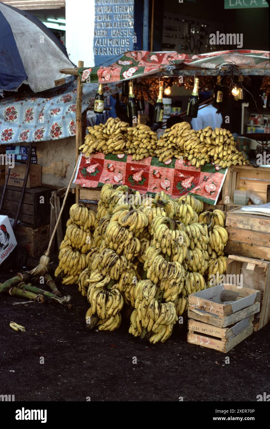 Merida, Mexico. 12/27/1985. Tortilla bakery in Merida’s market district ...
