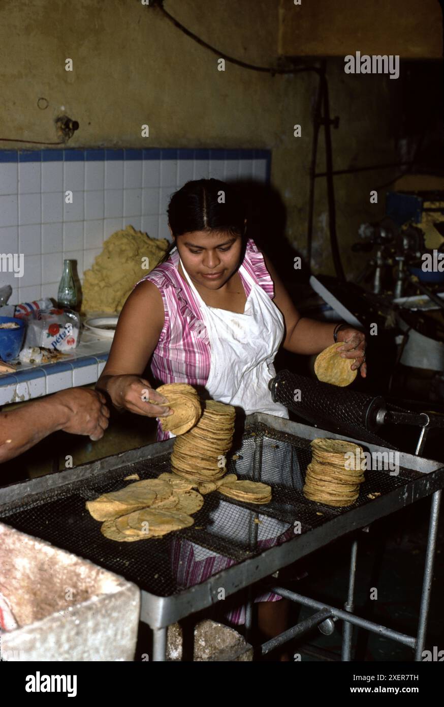 Merida, Mexico. 12/27/1985. Tortilla bakery in Merida’s market district ...