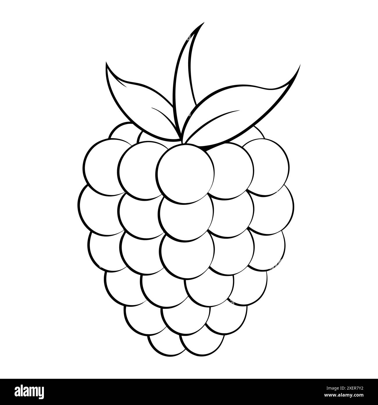 Raspberry line art illustration Stock Vector Image & Art - Alamy