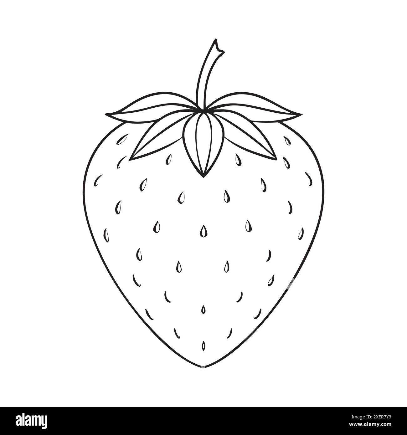 Strawberry line art illustration Stock Vector Image & Art - Alamy