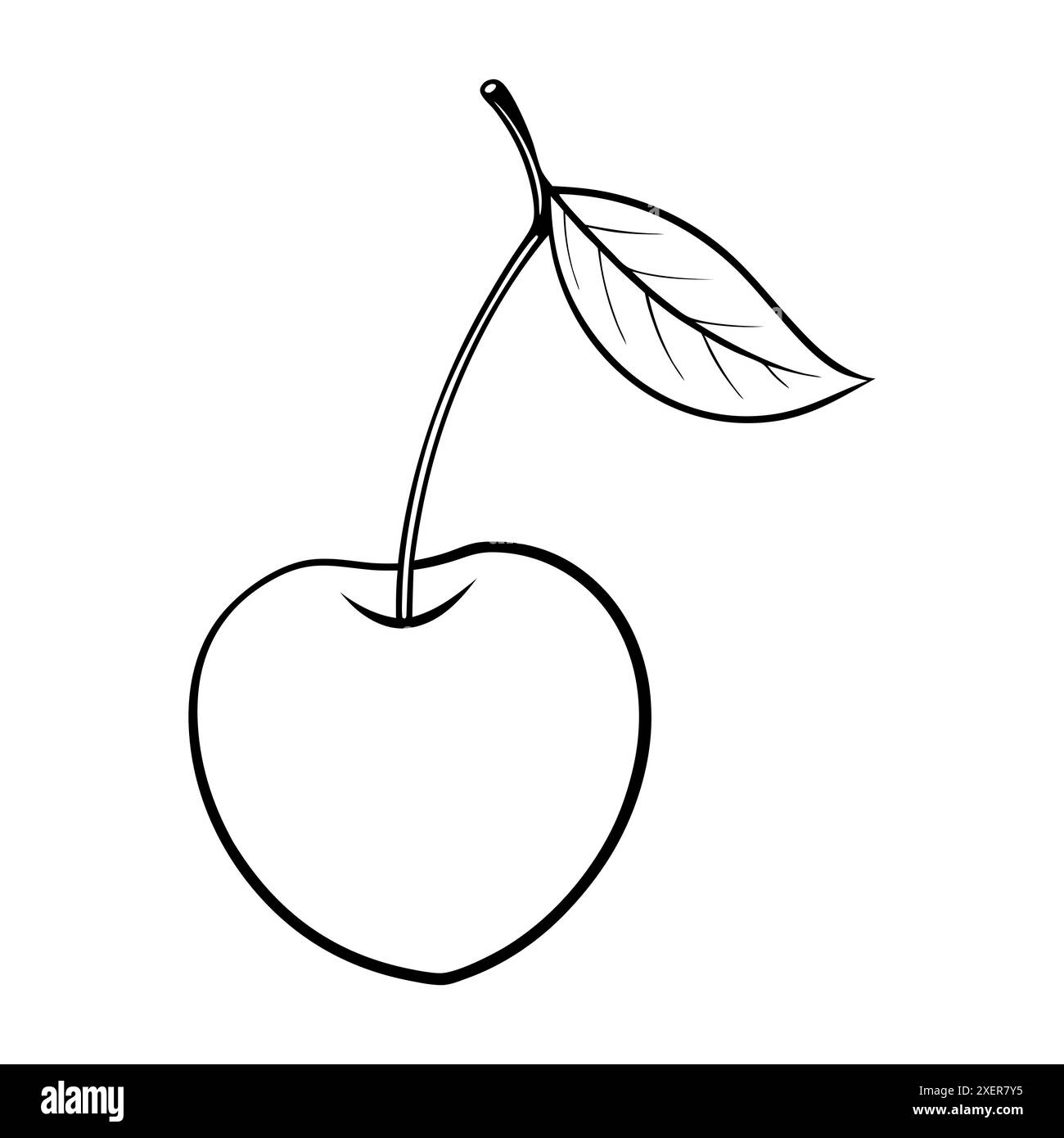 Cherry line art illustration Stock Vector Image & Art - Alamy